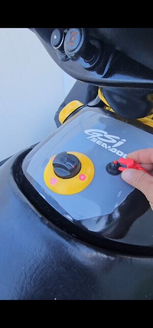 Dess programming | Sea-Doo Forum